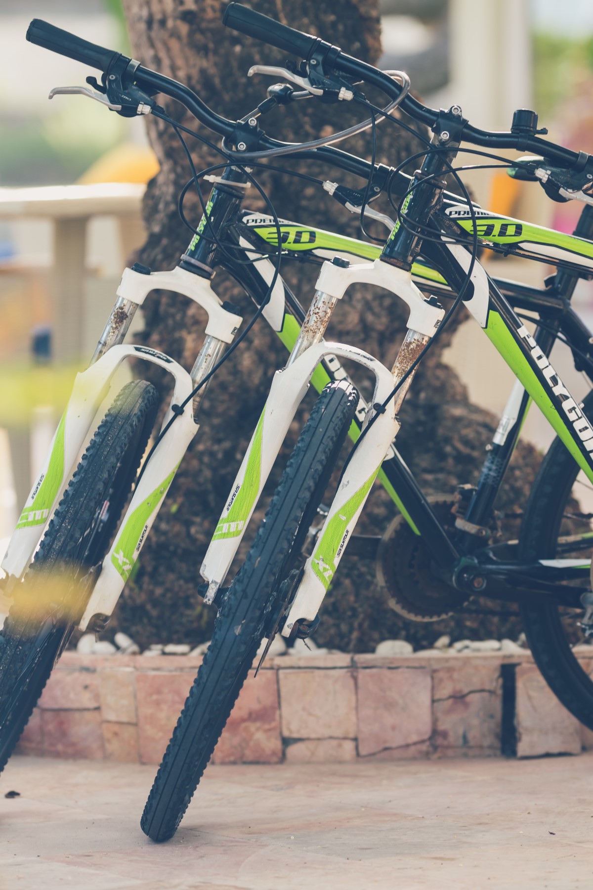 Asset Scheduling - TRYTN Online Booking - Reservation Software